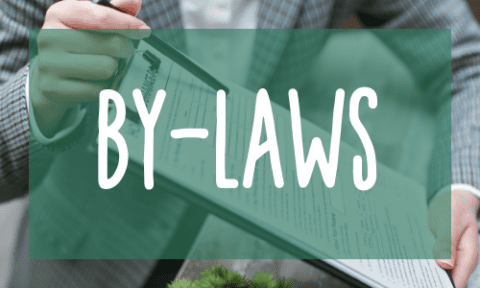 Governing Documents - LPOA